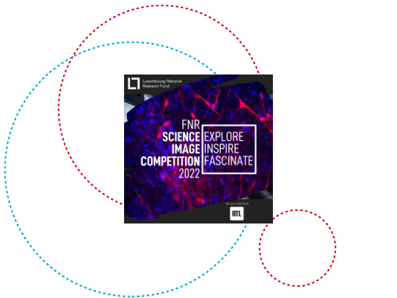 University scientists receive top awards at Science Image Competition ...