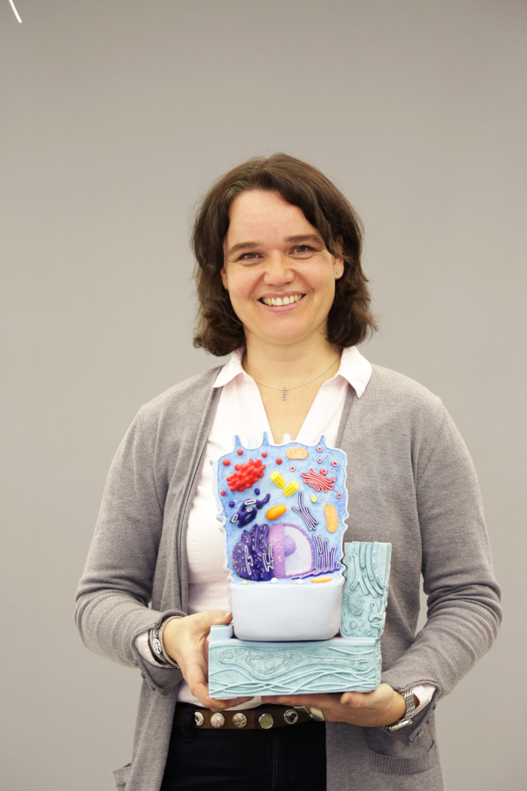 People - Scienteens Lab - University of Luxembourg I Uni.lu