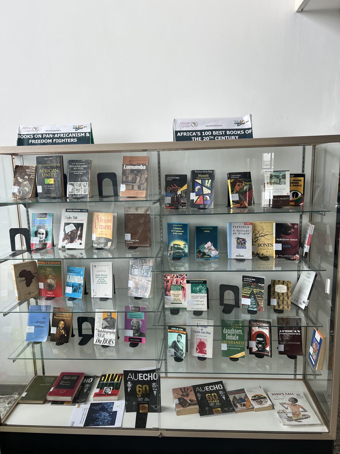 The African Union's Mediation Dynamics: Habiba Abubaker's Research ...