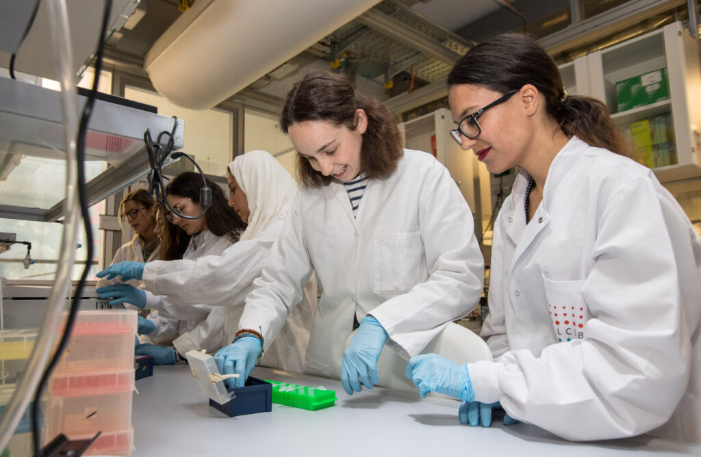 International Master of Science in Biomedicine - FSTM I University of ...