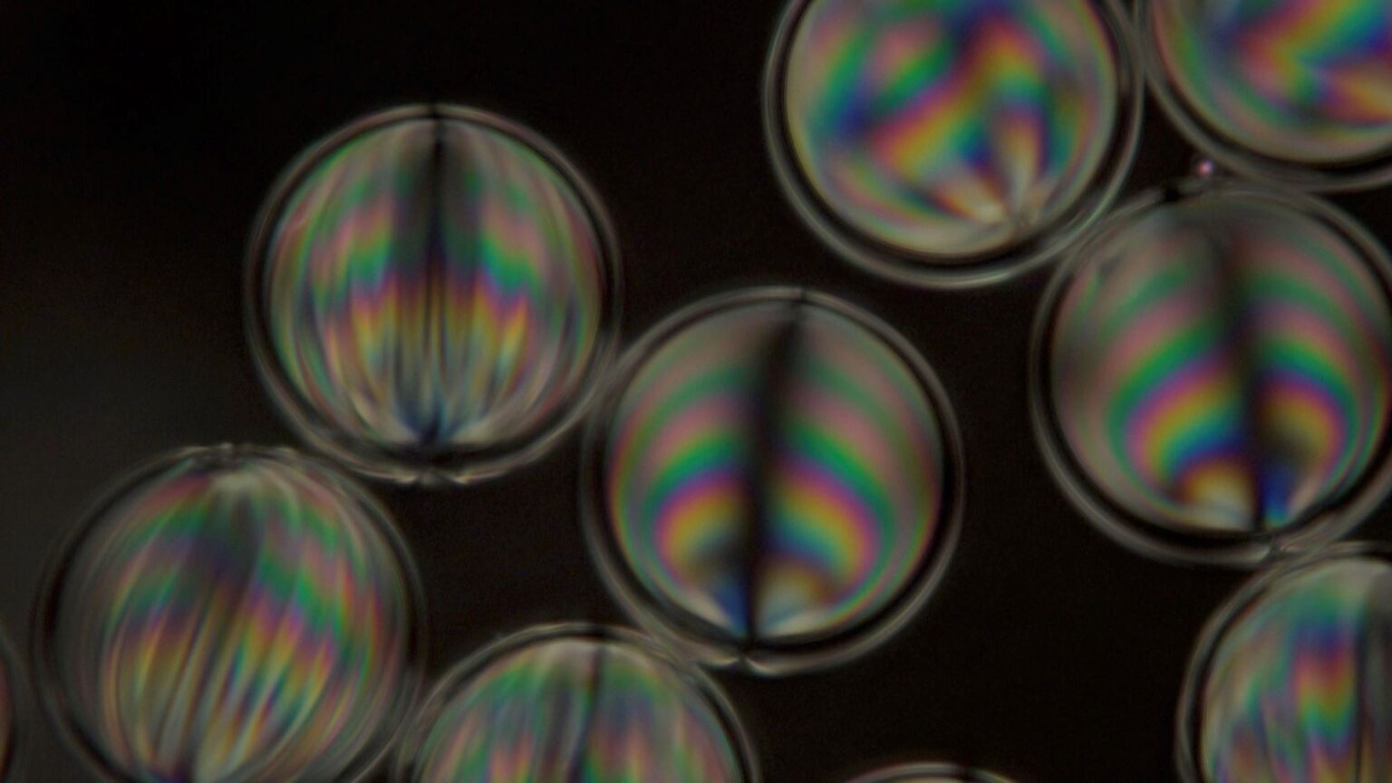 Experimental Soft Matter Physics - FSTM research group I University of ...