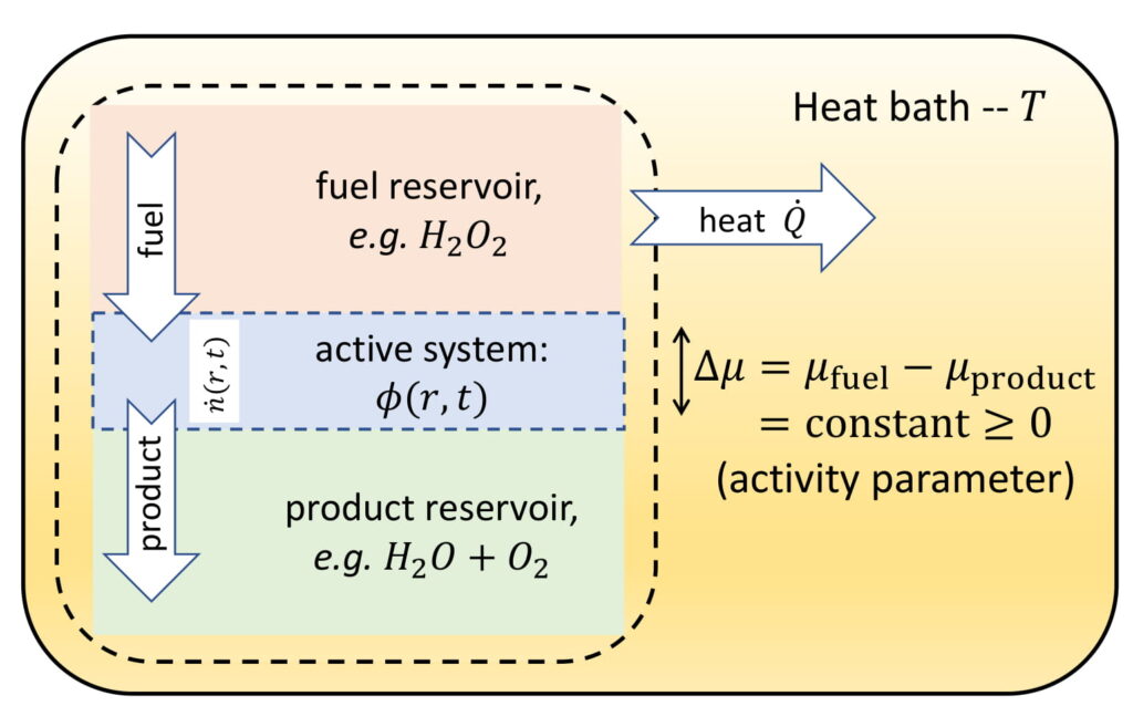 Physics of active matter - FSTM - University of Luxembourg I Uni.lu