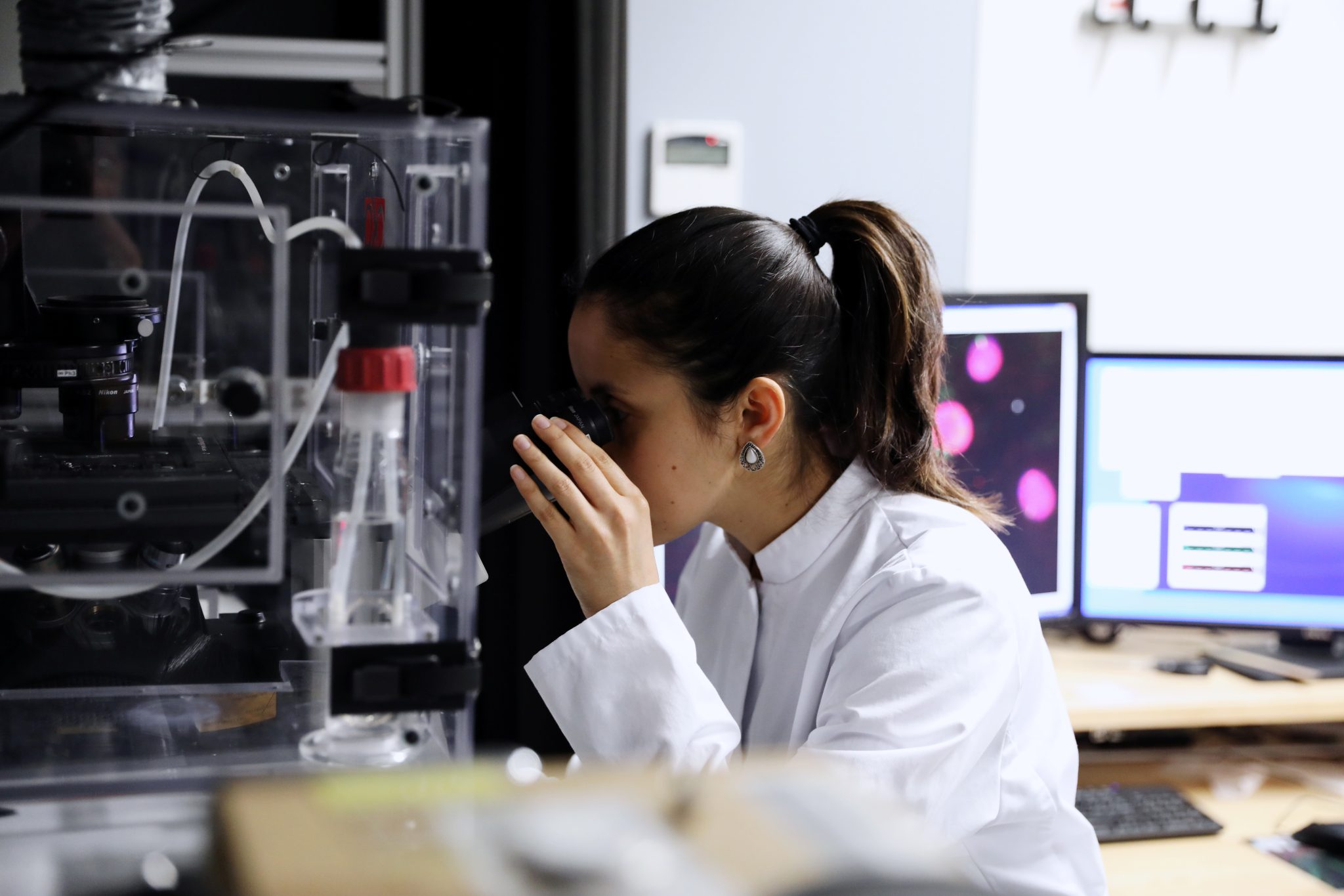 Facilities - Department of Health, Medicine, and Life Sciences ...