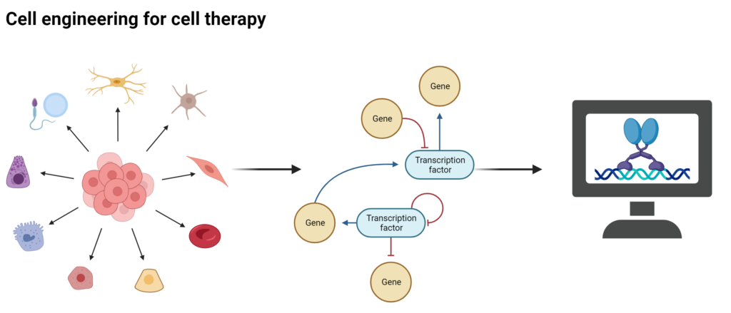 Research - Computational Biology - LCSB research group I University of ...