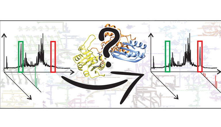 Enzymology and Metabolism - LCSB research group I University of Luxembourg