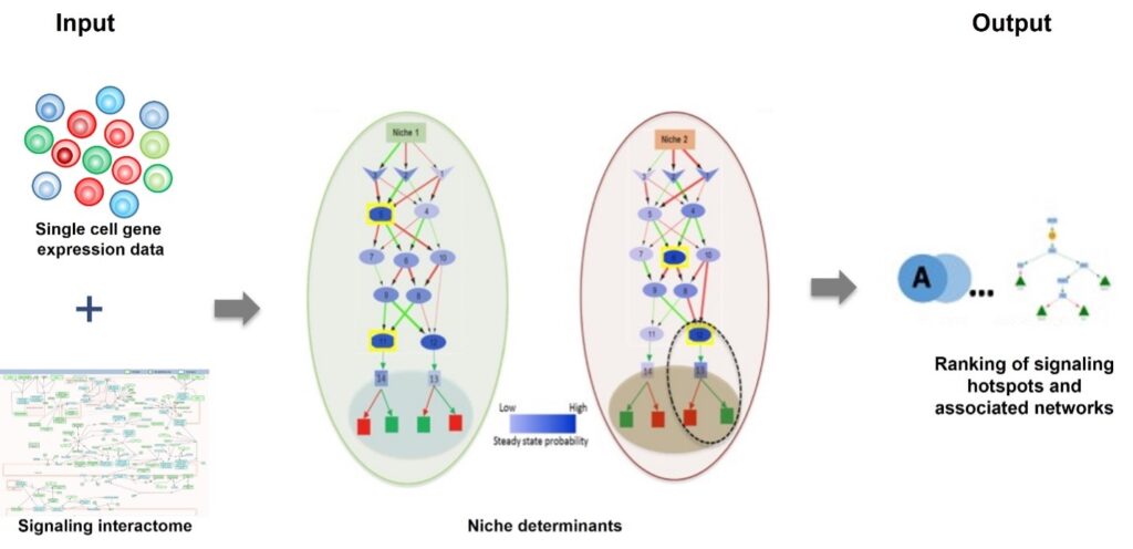 The Computational Biology group