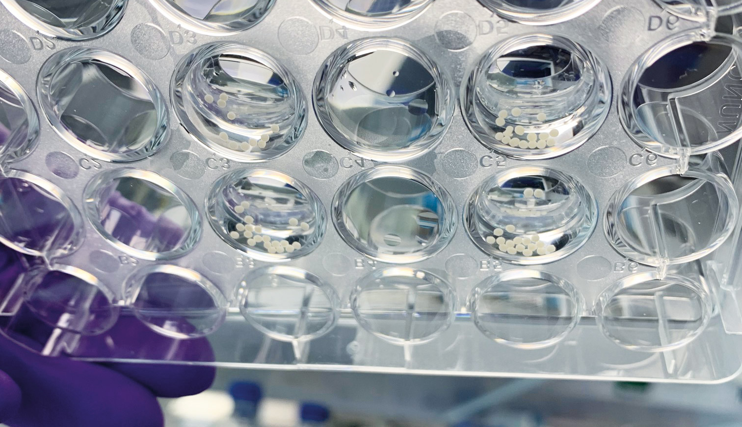 MidStriPD - Midbrain-Striatum-Assembloids to model synapse function ...