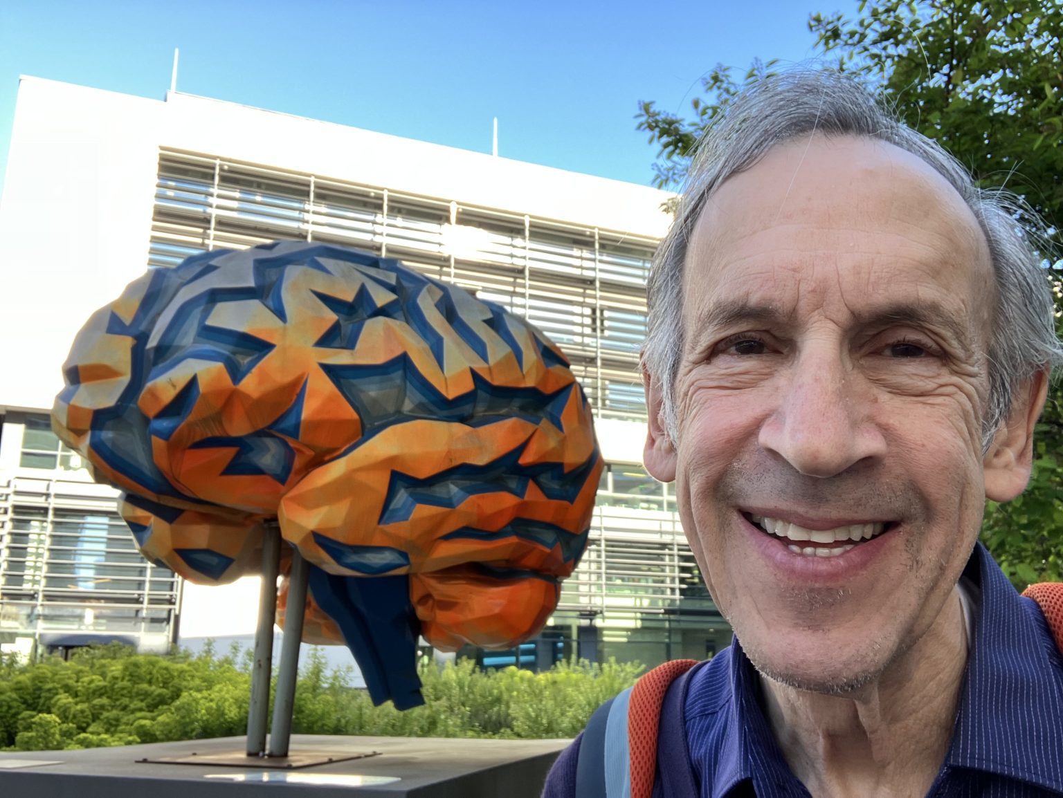 Lessons in Critical Thinking - Prof. Robert P. Friedland - LCSB ...