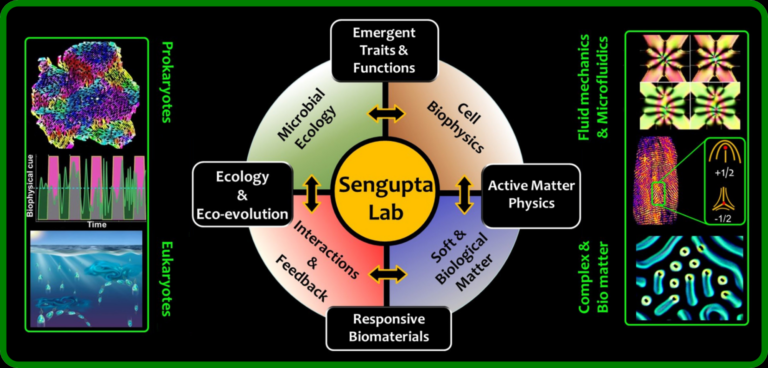 Soft and Living Matter - Research area I University of Luxembourg