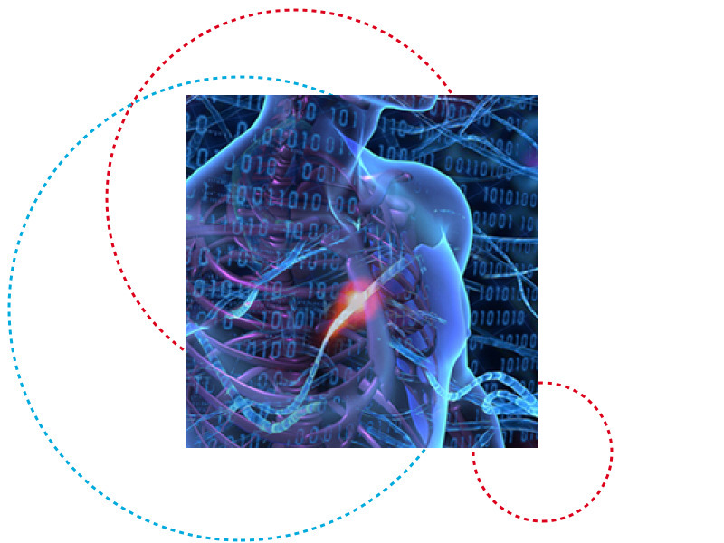 Metabolic modelling becomes three-dimensional - University of Luxembourg