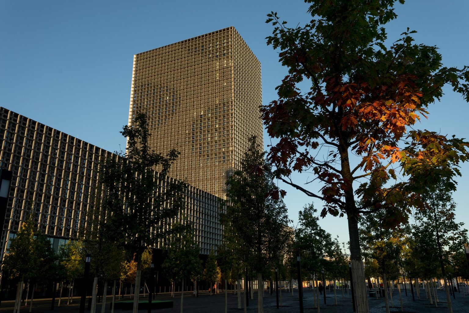 For staff - University of Luxembourg